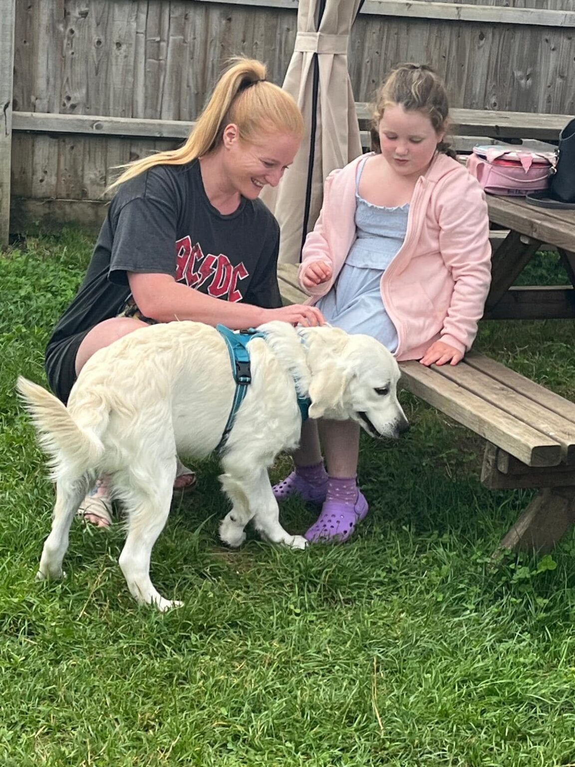 Facilities – THE DOG PARK